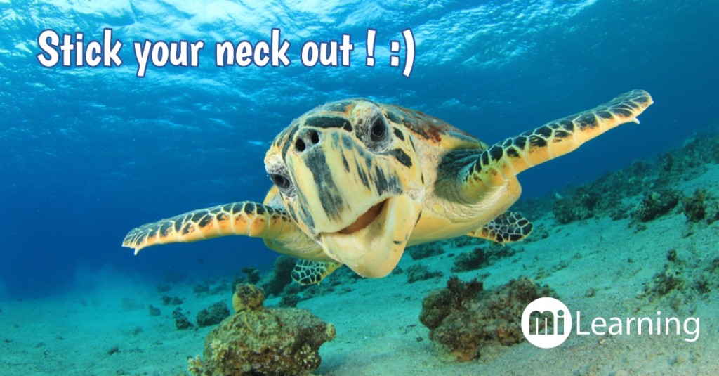 Stick your neck out! 伸長脖子是什麼意思? - Mi Learning