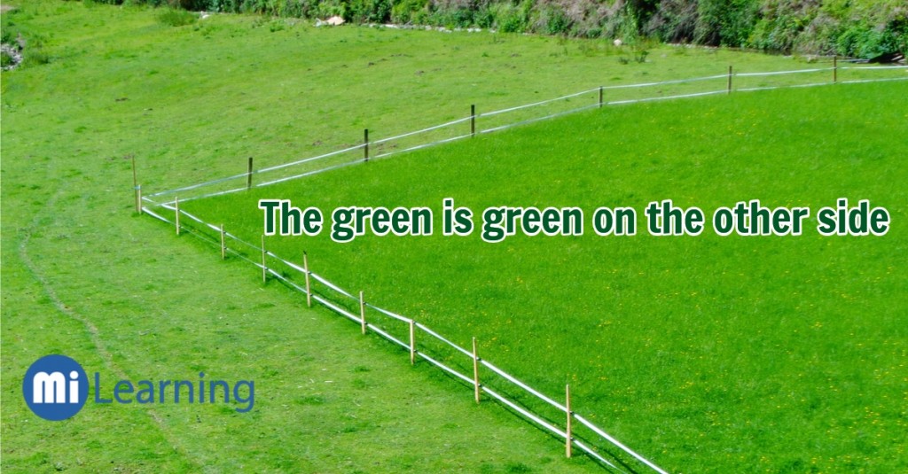 The green is green on the other side - Mi Learning